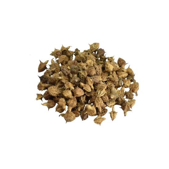 Gokhuru /Gokshura /Tribulus Terrestris Seeds (250g) Jadibuti Gota ...