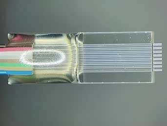 Amazon.com: Linear Fiber-protruding Fiber Array : Industrial & Scientific