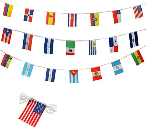 Amazon.com: ZXvZYT Latin America 21 Countries Flag Banner String ...