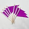 Amazon.com : LyButty 20 Pack Solid Color Purple Blank Pennant Flags on ...