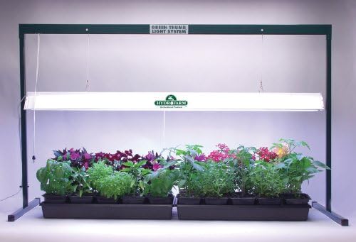 Amazon.com : Green Thumb Jump Start Light System 24 Inch. : Automatic ...