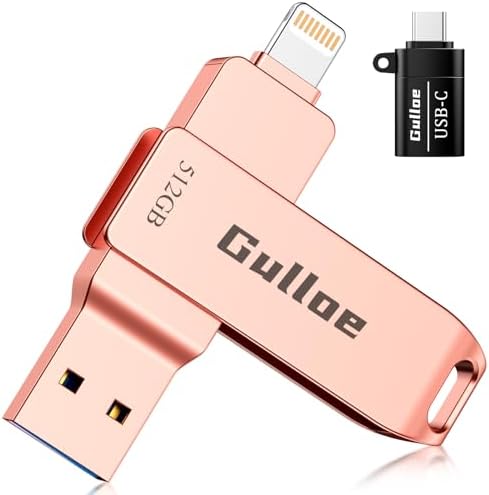 Amazon.com: Gulloe 256GB iPhone Flash Drive for Photos, Memory Stick ...