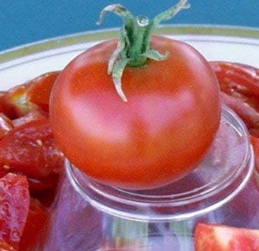 5 paquets de 25 graines Graines Stupice-tomates : Amazon.fr: Jardin