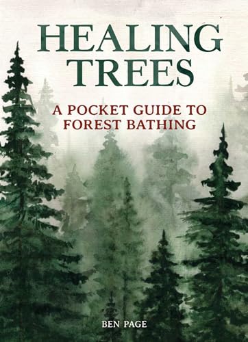 How to Connect with Trees - 1 Simple & Amazing Exercise