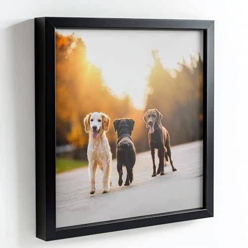 Amazon.com: 34x44 Black Picture Frames - Ready to Hang Solid Pine Wood ...