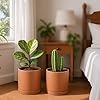 Amazon.com : D'vine Dev Large 10 Inch Terracotta Plant Pot with ...