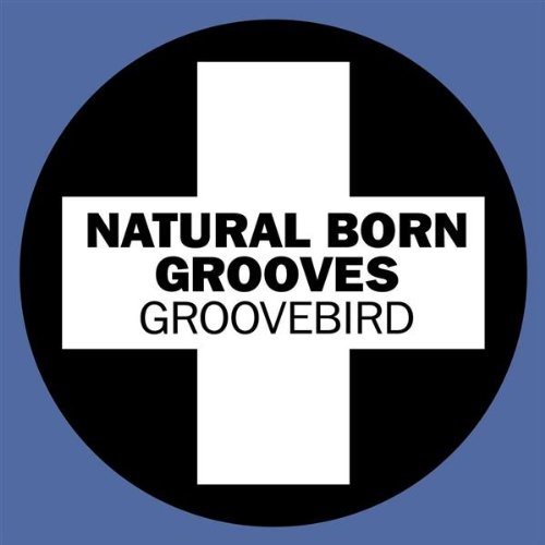 Groovebird - Amazon.com Music