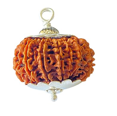 Venus Gems Gallery 13 Mukhi Rudraksha Nepali Soulful 13 Face Rudraksha ...