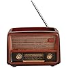 Amazon.com: BESTOYARD Retro Creative Radio Shape Flower Pot Retro ...
