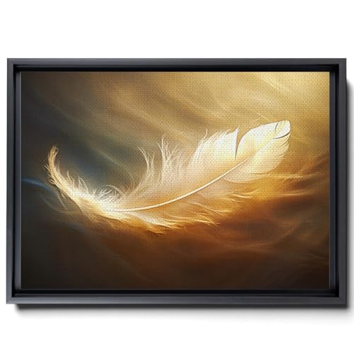 Amazon.com: A feather flutters gently Wall Art, feather was floating in ...