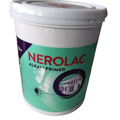 Nerolac Premium Acrylic Putty Pack : Amazon.in: Home Improvement
