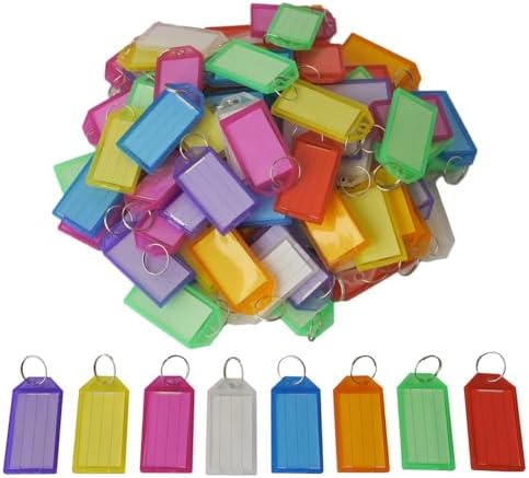 LISSION Plastic Key Tags with Labels, 150 PCS Tough Key Label Tags with ...
