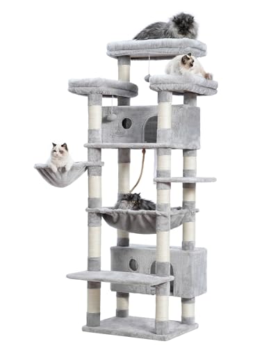 Petco Cat Tree – The 15 best products compared - Wild Explained