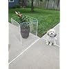 Amazon.com: Pet Barrier (3-Panel) | Free-Standing Pet Gate | Foldable ...