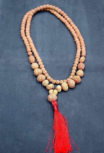 Ek se Chaudah Mukhi Rudraksha Indonesian Rudraksha Mala 1 to 14 1 se 14 ...