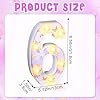 Amazon.com: Havawish Butterfly Themed Marquee Light up Numbers, LED ...