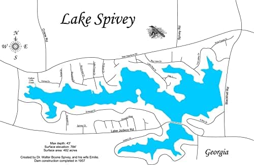 Amazon.com: Lake Spivey, Georgia: Framed Wood Laser Engraved Map ...