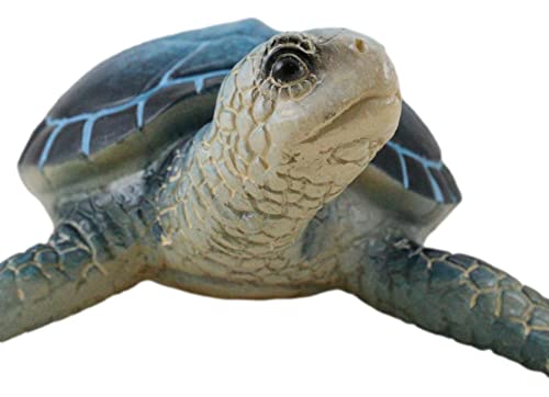 Snapklik.com : Ebros Nautical Marine Blue Shell Sea Turtle Decorative ...