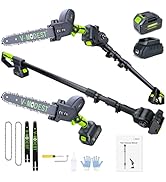 Amazon.com: V-MODEST 2-IN-1 Electric Pole Pruning Shears Cordless, 1.6 ...