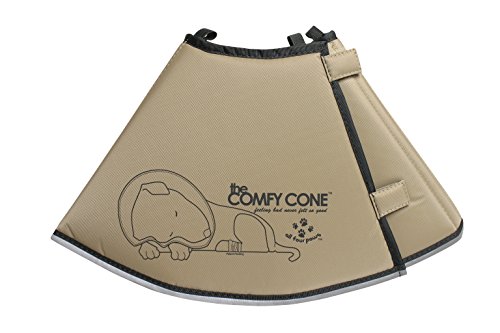 Find The Best Soft Cone For Dogs Reviews & Comparison - Katynel