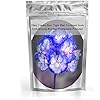 Amazon.com : Rare 'Night Blue' Geranium Seeds Appleblossom Rosebud ...