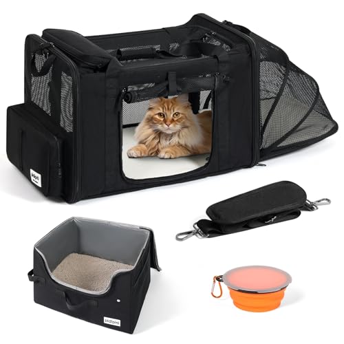 Cat Car Carrier – The 15 best products compared - Wild Explained