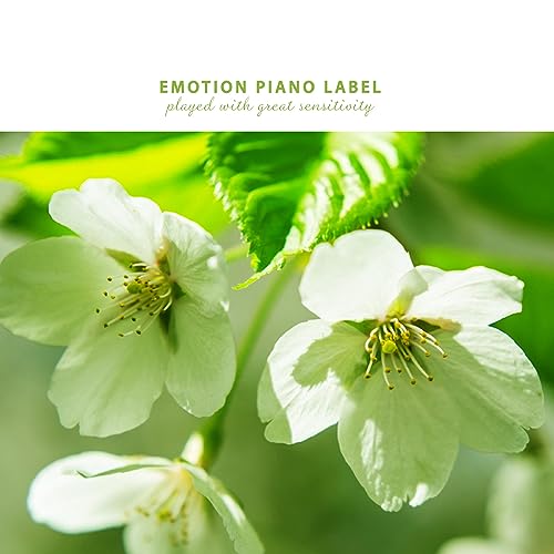 Play New Age Music Time for Pregnancy (Sensational New Age Collection ...