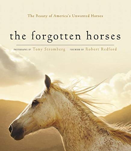 The Forgotten Horses: The Beauty of America's Unwanted Horses ...