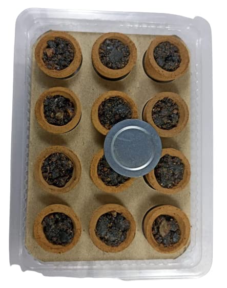 Tirumala Natural Guggal loban Sambrani Havan Cup for Puja Item ...