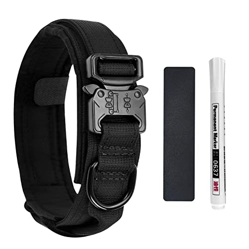 K9 Collars – The 15 best products compared - Wild Explained