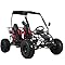 Amazon.com: X-PRO Rover 150 Go Kart with 3-Speed Semi-Automatic ...