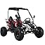 Amazon.com: X-PRO Rover 150 Go Kart with 3-Speed Semi-Automatic ...
