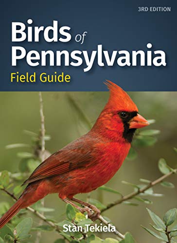 Top 10 Best Bird Watching Field Guide : Reviews & Buying Guide - Katynel