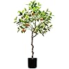 Amazon.com: Gresorth 4Feet Fake Orange Tree Artificial Green Plant ...