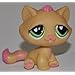 Amazon.com: Kitten #552 (Orange, Green Eyes, Pink Stripes on Tail ...