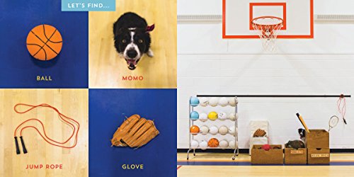 Let's Find Momo!: A Hide-and-Seek Board Book - Want It All