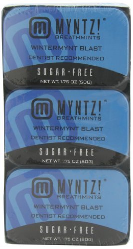 Amazon.com : Myntz Wintermynt Blast Breathmints,Sugar Free 1.75-Ounce ...