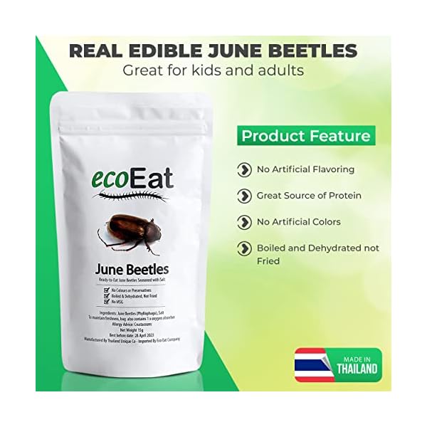 ecoEat Edible Insects Large June Beetles - 15g Bag - Edible Snack Gift ...