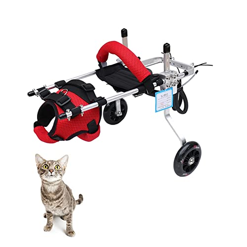 Revolutionize Your Paralyzed Cat's Mobility with These Top 10 Wheels ...
