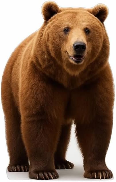 Amazon.com: Brown Bear 5FT Life Size Cardboard Cutout – A Fun Animal ...
