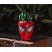 Amazon.com: Toynk Marvel Comics Spider-Man 3-Inch Ceramic Mini Planter ...