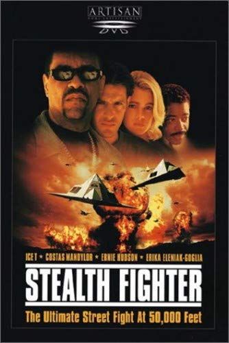 Amazon.com: Stealth Fighter: Ice-T, Jim Wynorski: Movies & TV