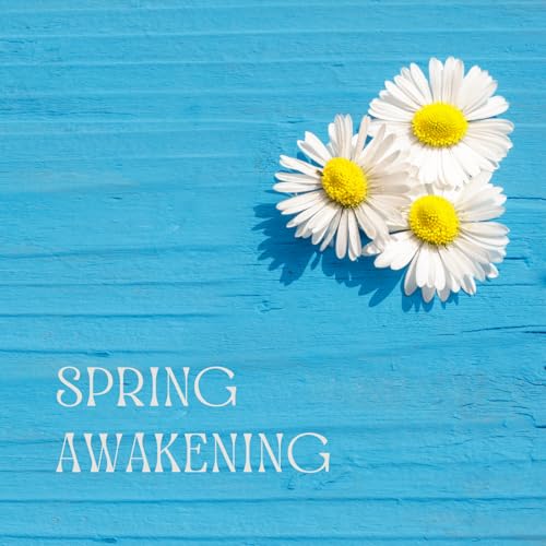 Song J. Strauss II: Johann Strauss, Jr. Waltzes von Erich Kunzel ...