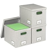 Amazon.com: GRSQYS File Organizer Box File Boxes for Hanging Files with ...