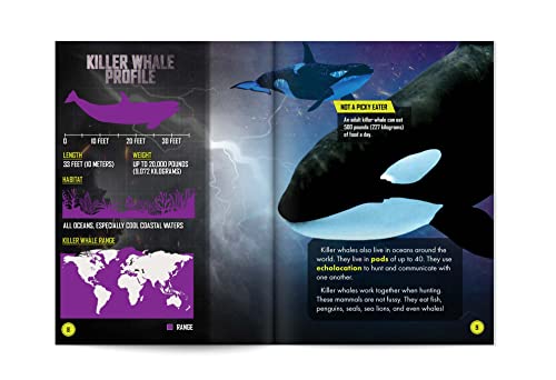 Snapklik.com : Animal Battles By - 8 Book Bundle For Young Readers ...