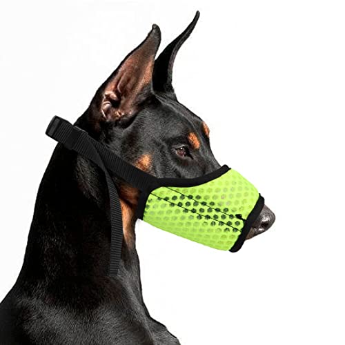 Tissus Chien Vert – Les 15 meilleurs produits dans la comparaison ...