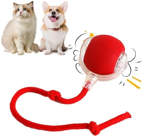 Cat Ball Toy, Interactive Cat Toy, USB Rechargeable Smart Ball Gifts ...