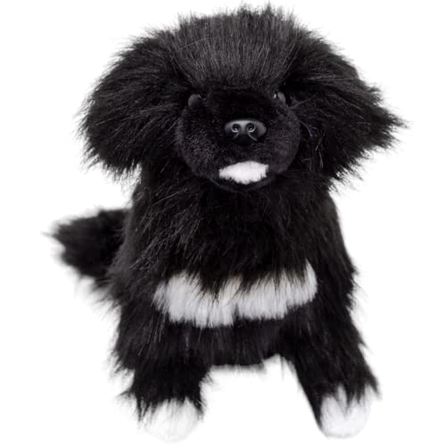 Unleashing the Cutest Black Newfoundland Puppy Products: Your Ultimate ...