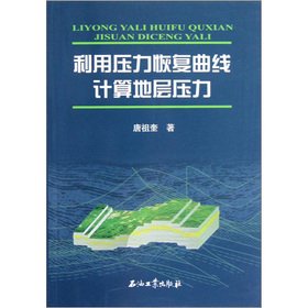 Amazon.com: Pressure recovery curve calculated formation pressure ...