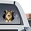 Funny Cat Car Window Decal – Maine Coon Peeking Through Cracked Glass ...
